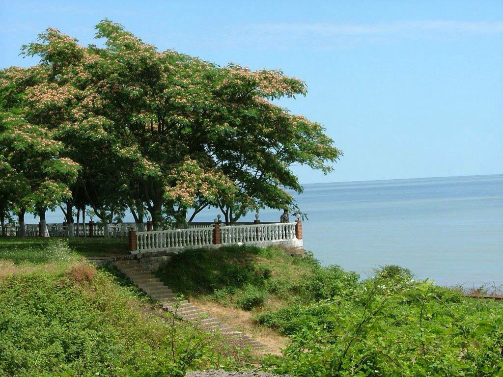 Tours | Family | Tour to Lankaran - Frisaga