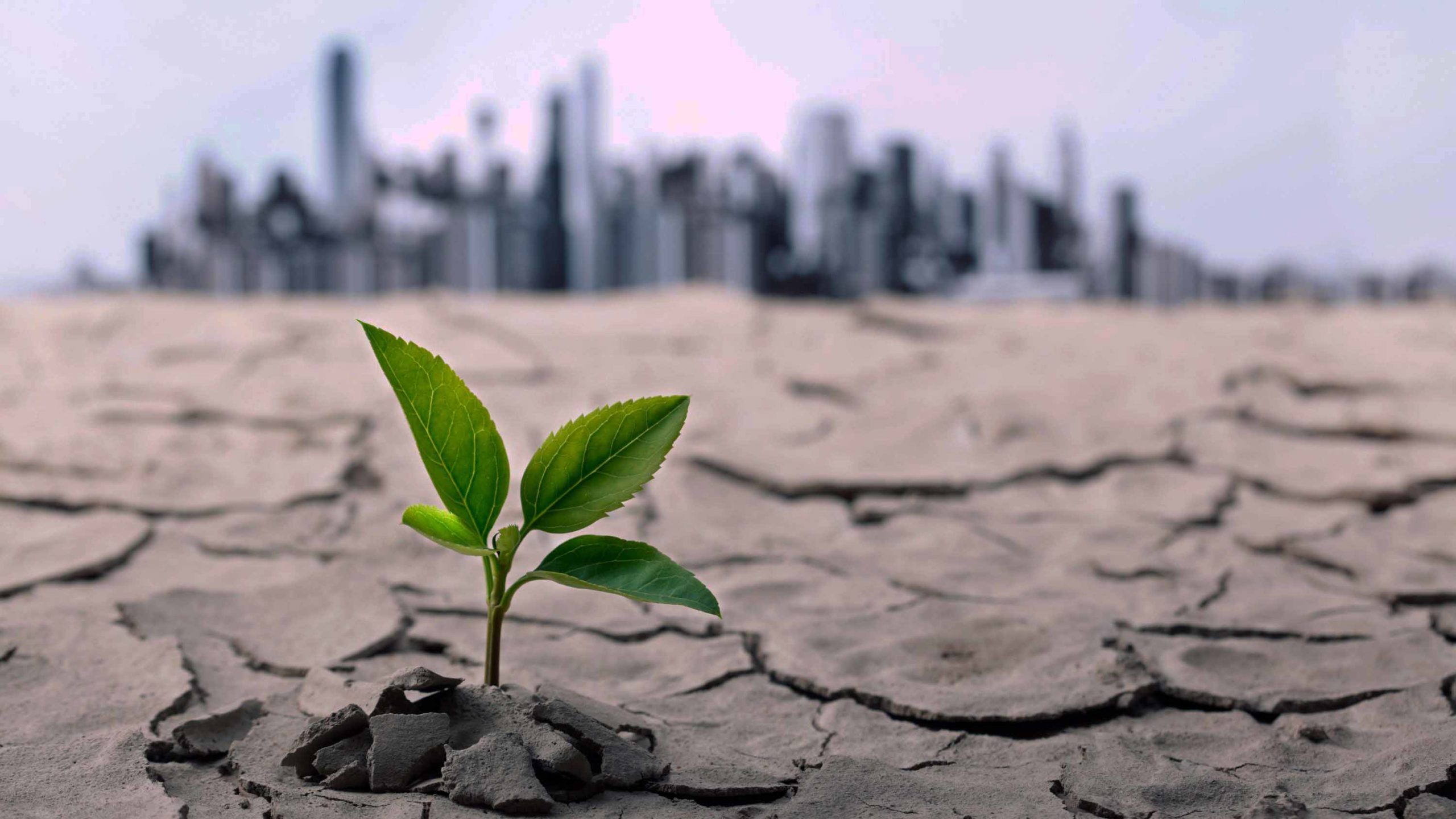 Blog | Climate change: emerging challenges and ways to combat them ...